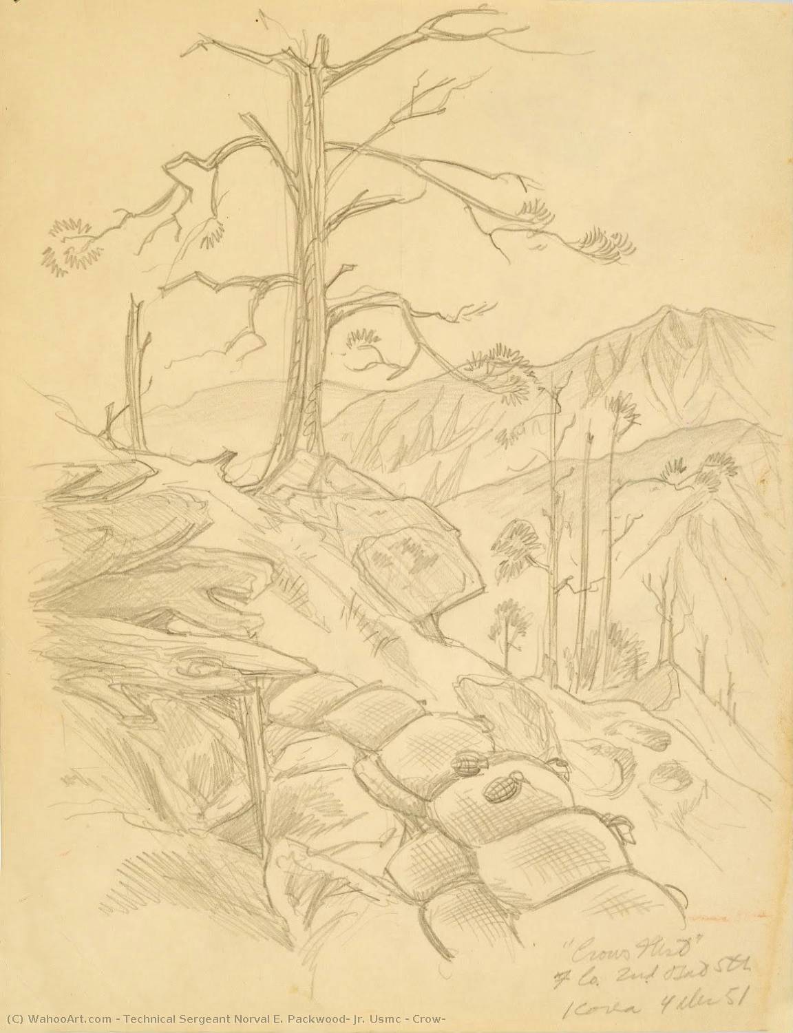 Crow\, 1951 de Technical Sergeant Norval E. Packwood, Jr. Usmc ...